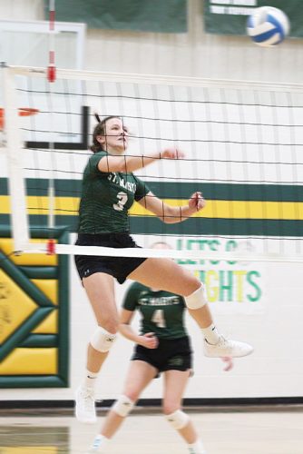 Mathiowetz repeats as Player of the Year | News, Sports, Jobs - The Journal